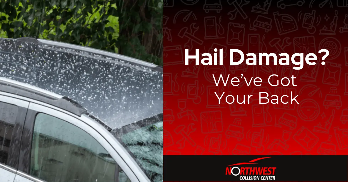 Hail Damage? We’ve Got Your Back in St. Petersburg & Largo, FL ...